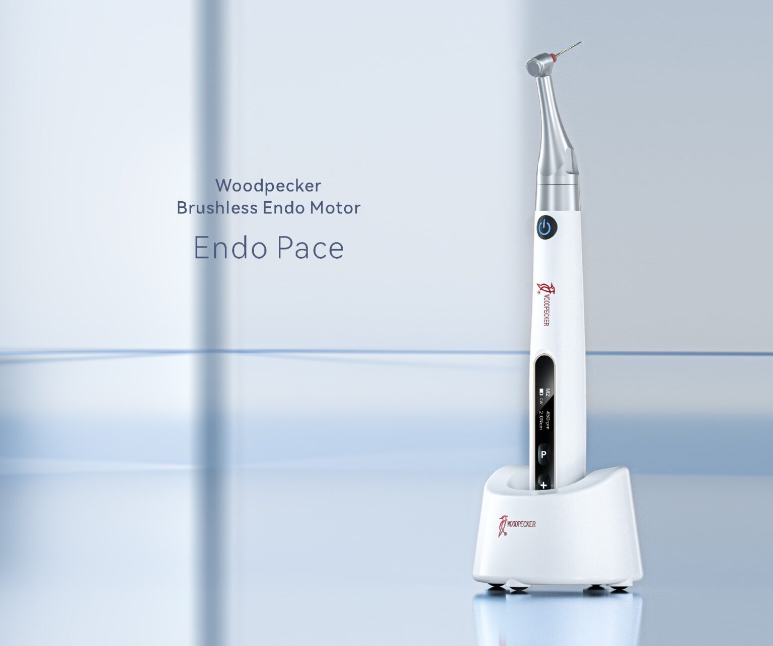 Woodpecker Endo Motor (Endo Pace) - Humayun Dental Supplies